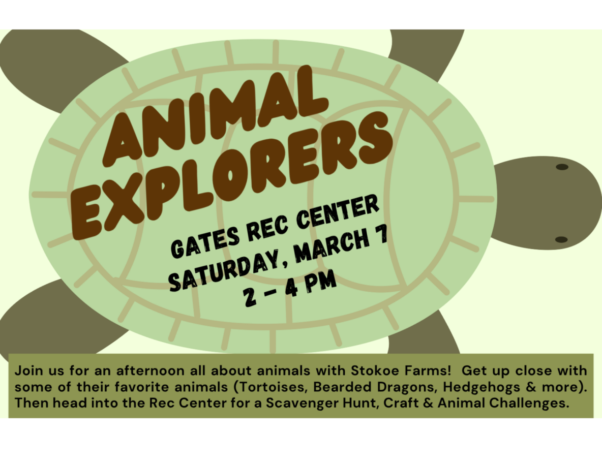 Animal Explorers - Town of Gates